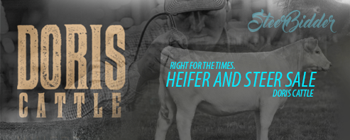 Doris Cattle Sale List | SteerBidder