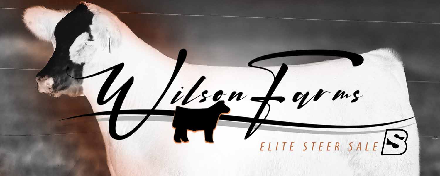 wilson-button-copy | SteerBidder