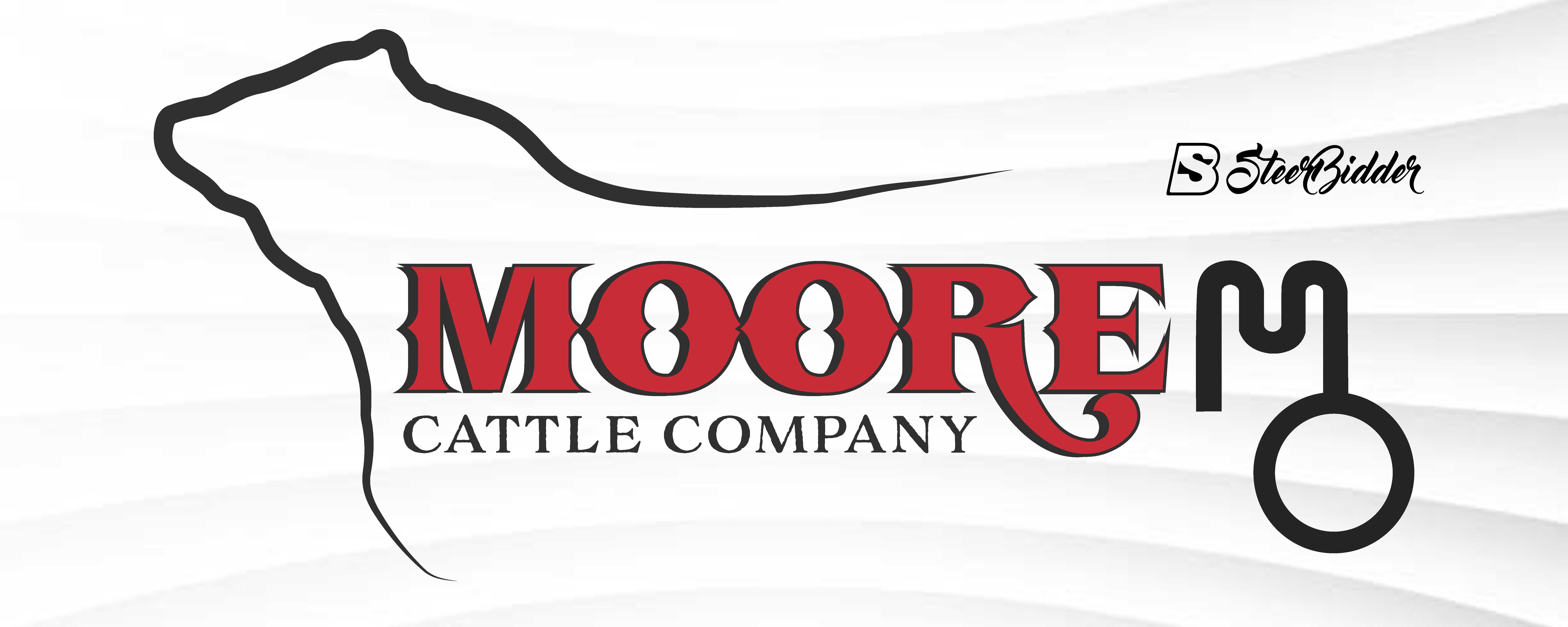 MOORE-button | SteerBidder