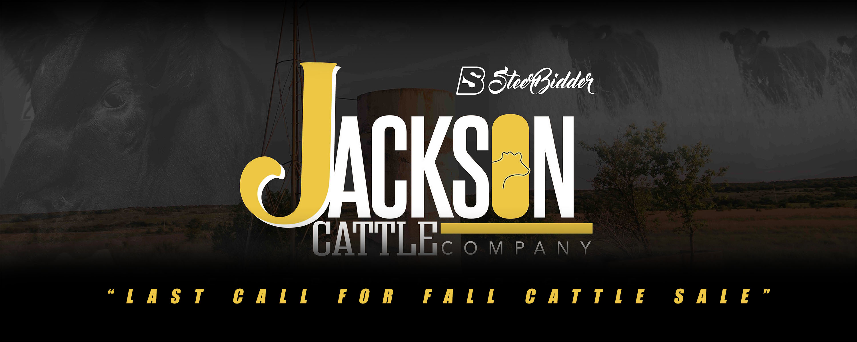 jackson-BUTTON-last-call-copy | SteerBidder