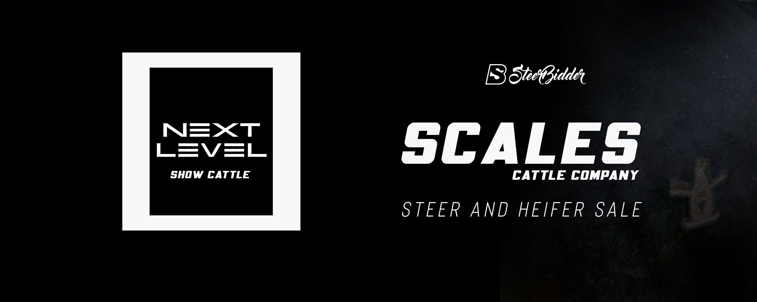 scales-button-copy | SteerBidder