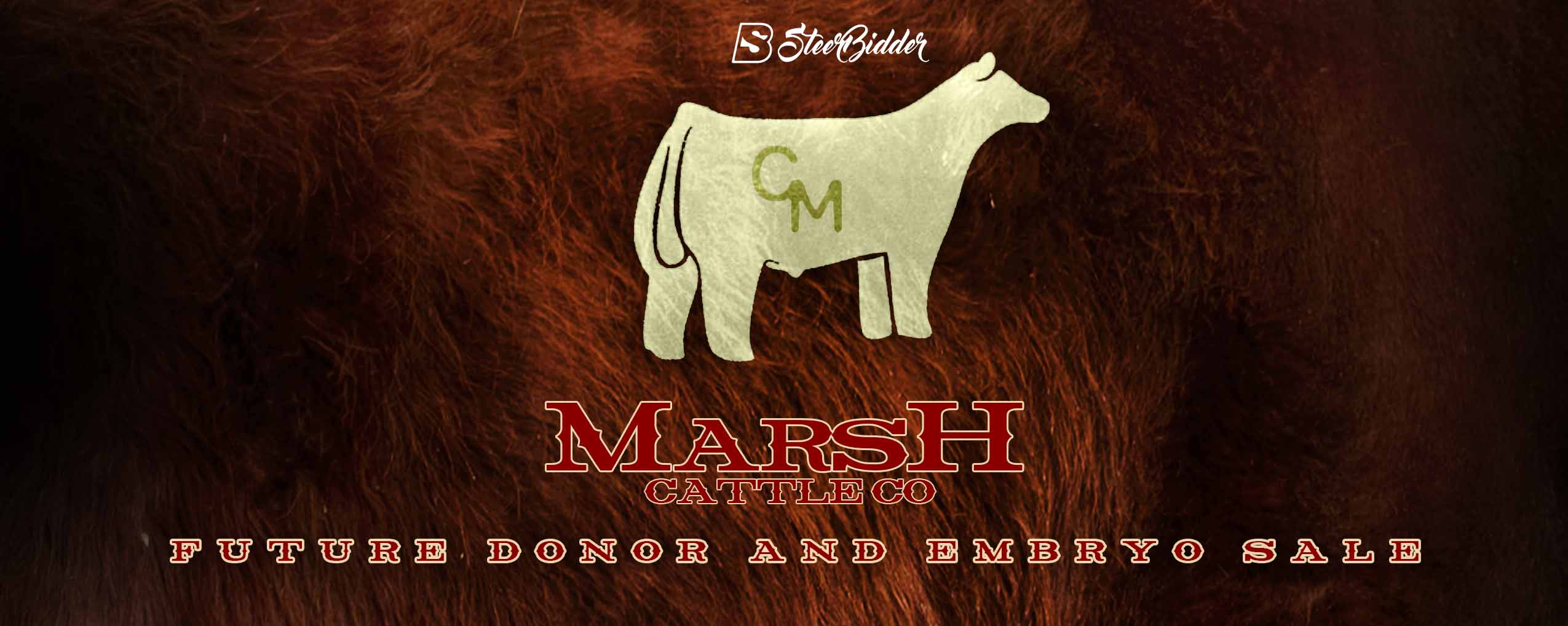 Marsh-button-copy | SteerBidder