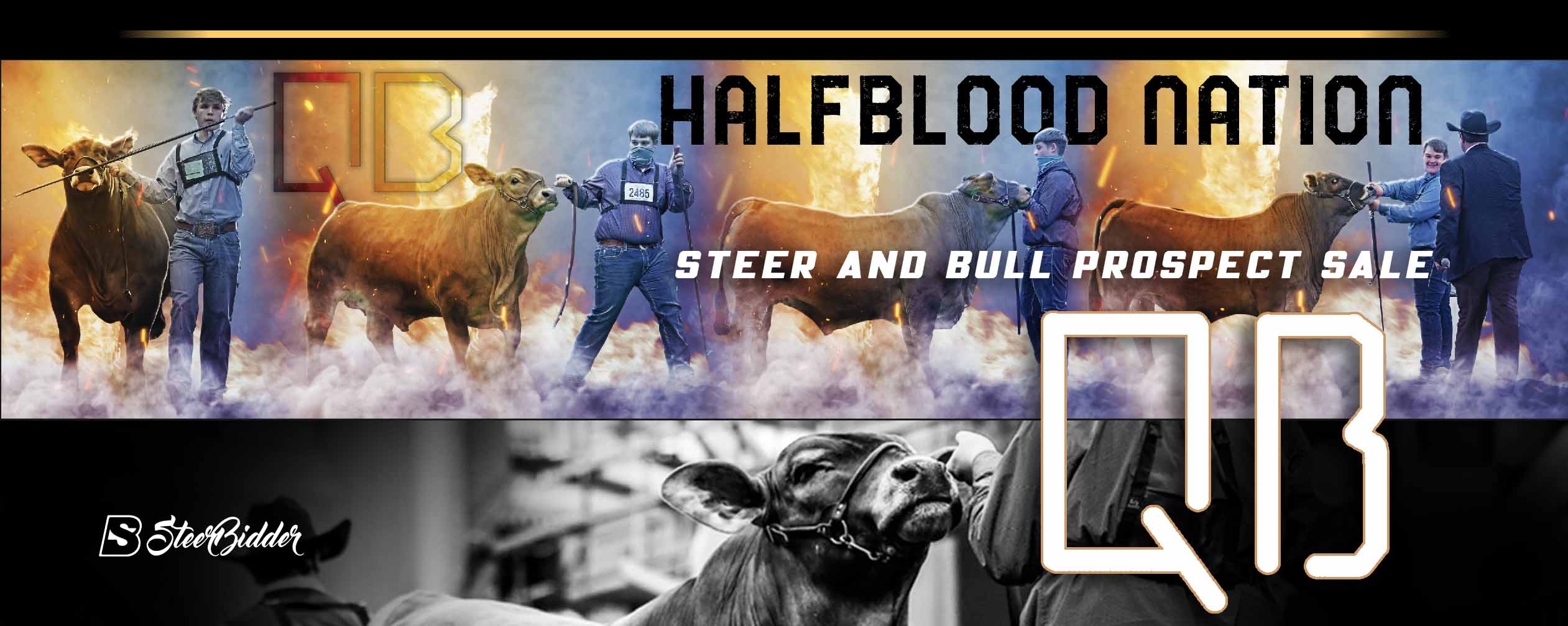 button-QB-bull-steer | SteerBidder