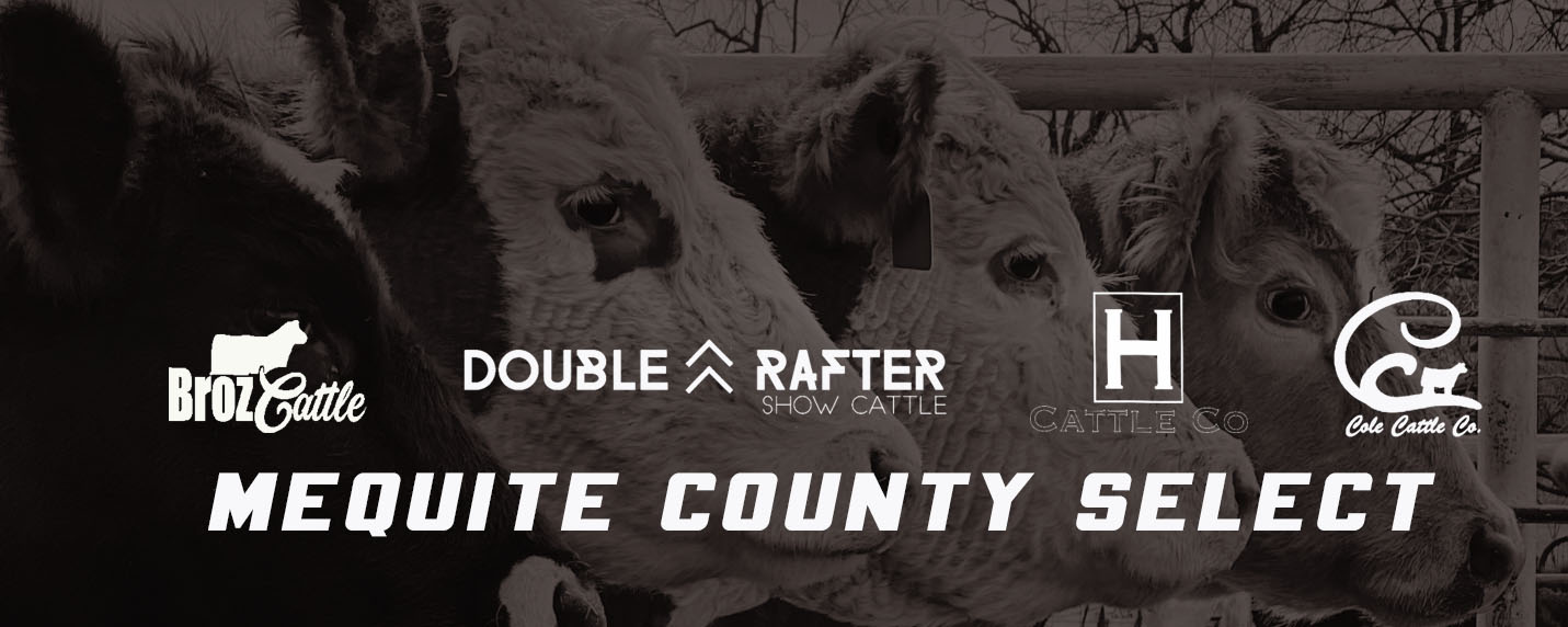 mesquite-button-copy | SteerBidder