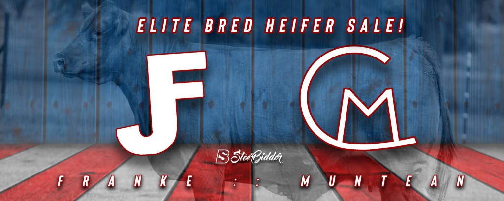 SteerBidder | Online Cattle Sales