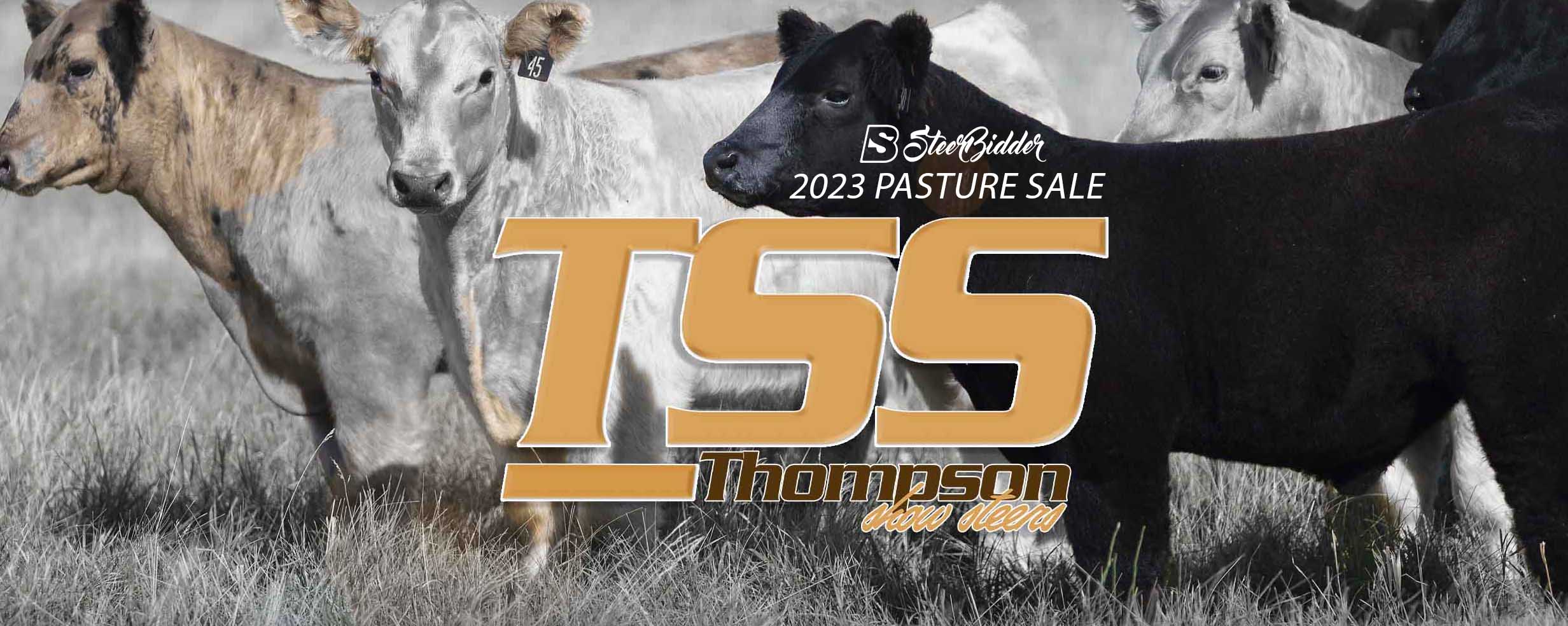 2023-tss-button | SteerBidder