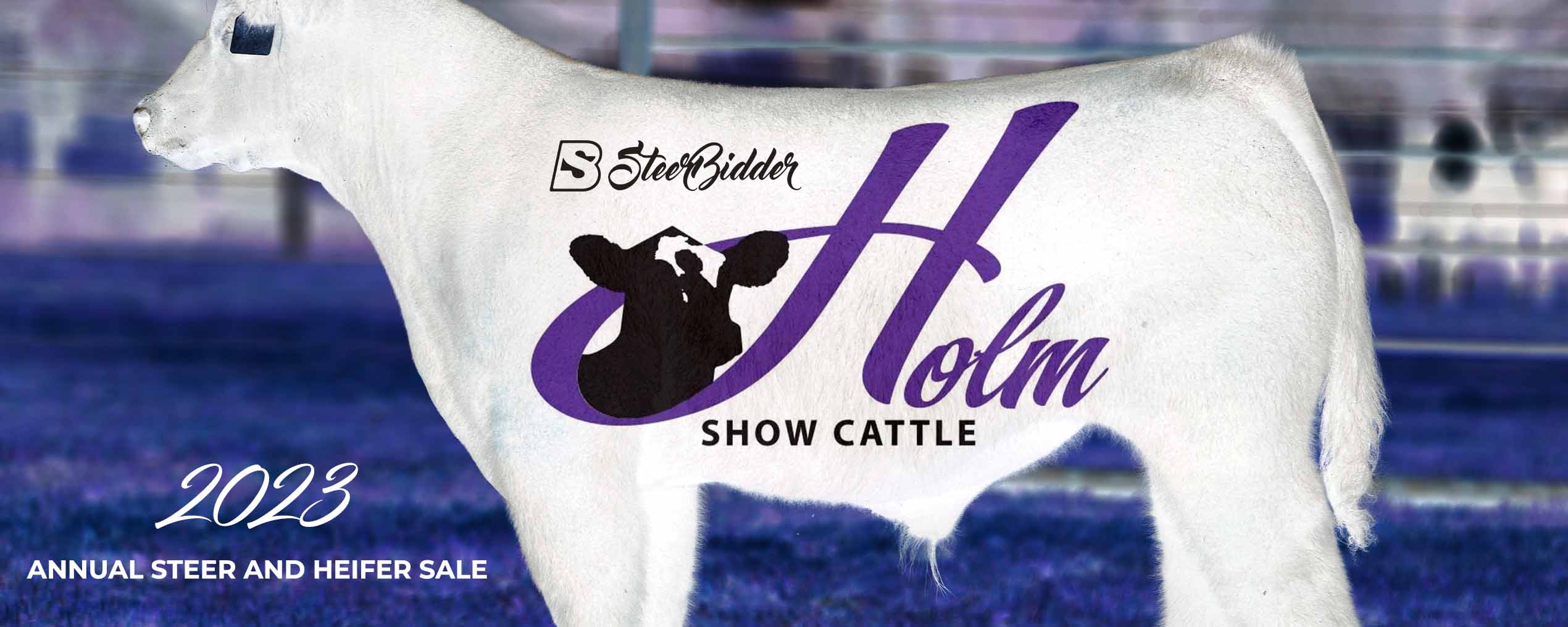 holm-button-2023 | SteerBidder