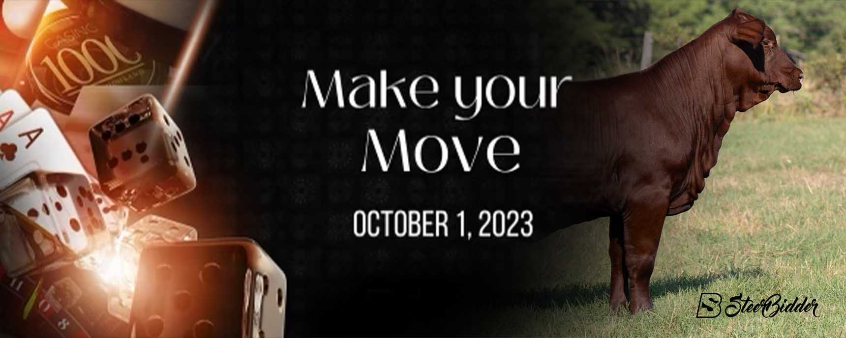 make-your-move-button-copy | SteerBidder