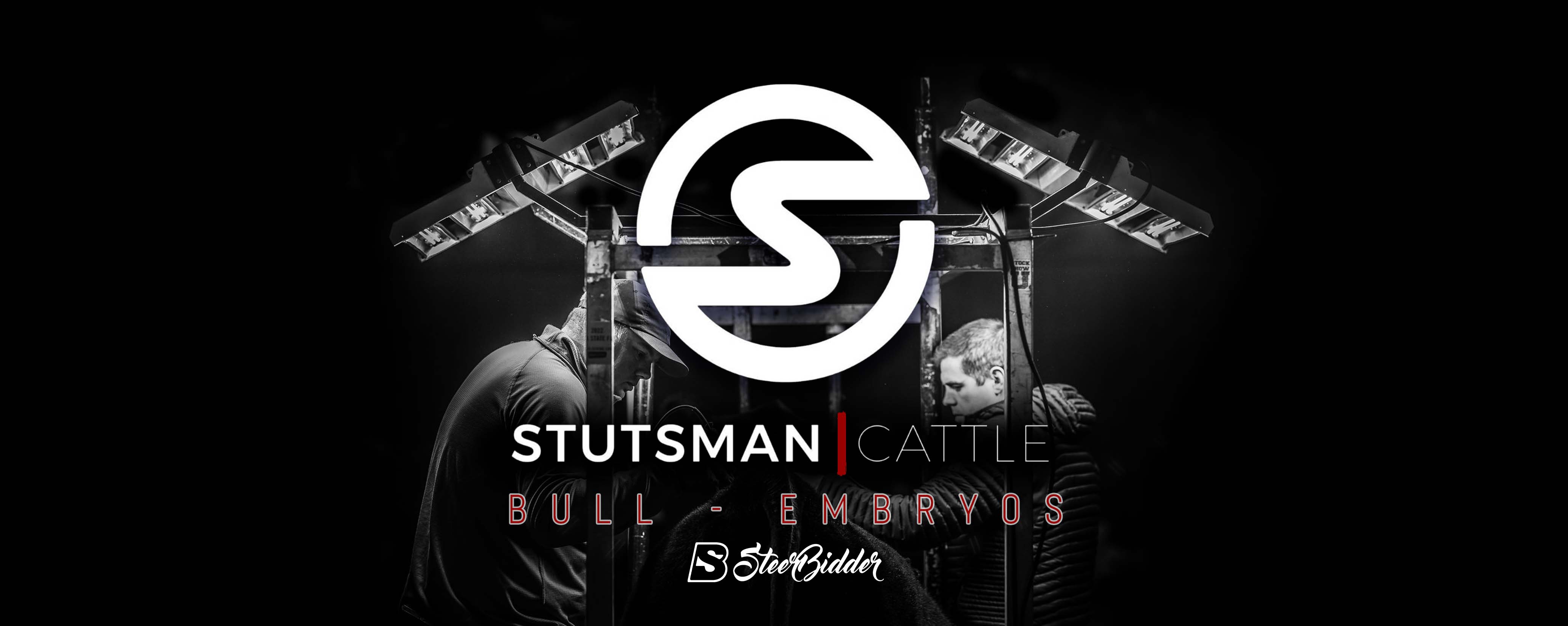 stutsman button 2024 | SteerBidder