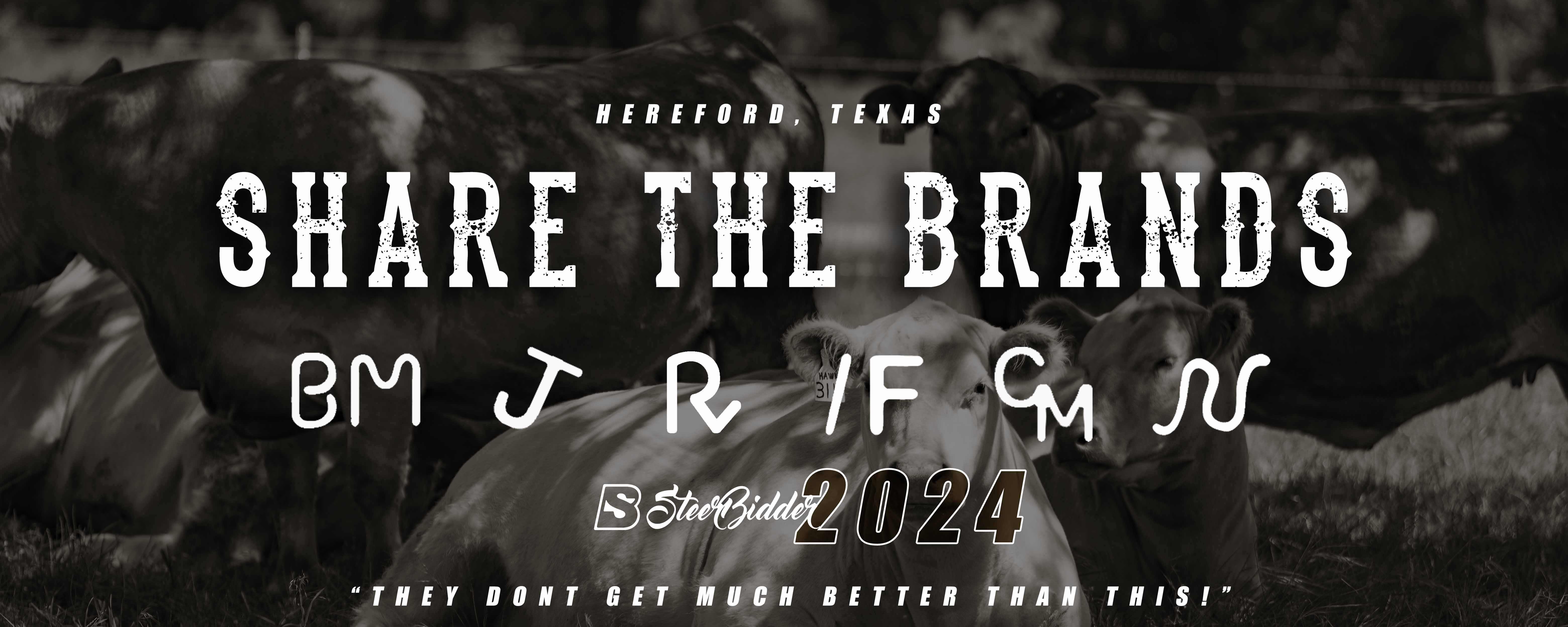 sign 1 2024 BUTTON | SteerBidder