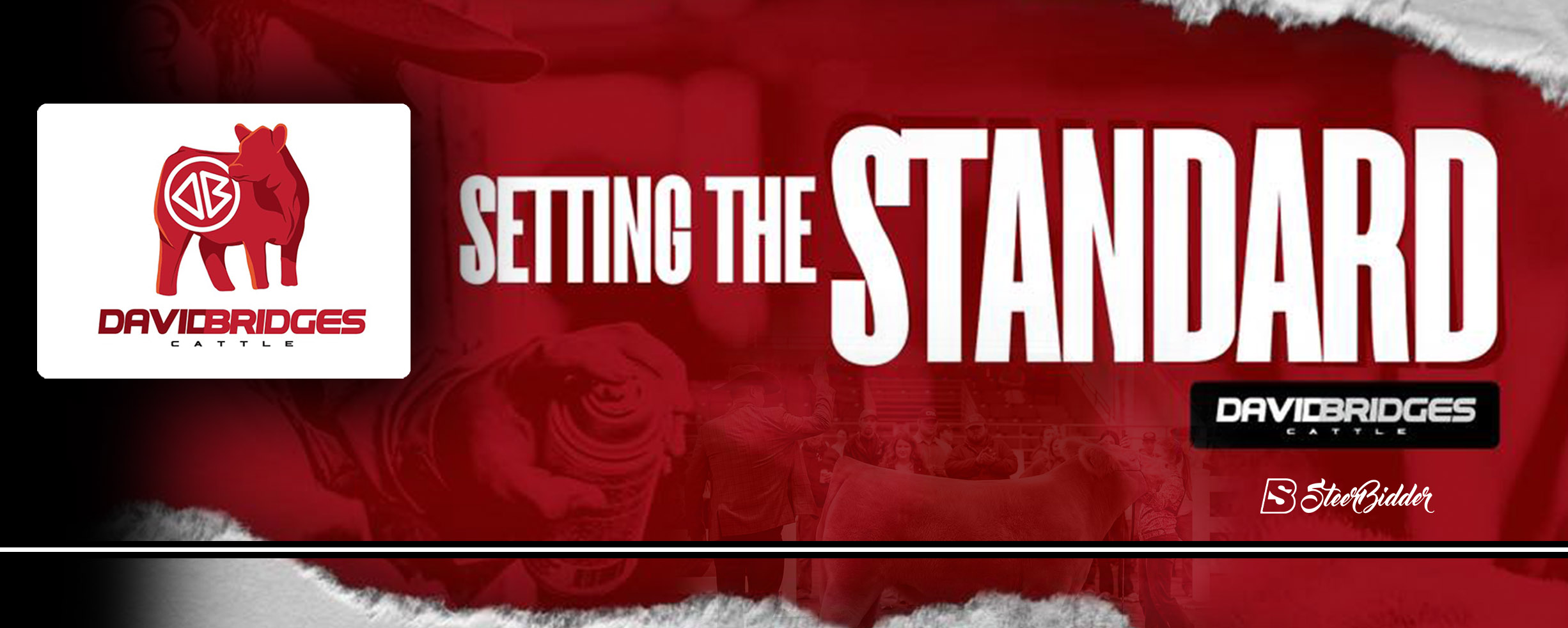 david bridges button | SteerBidder