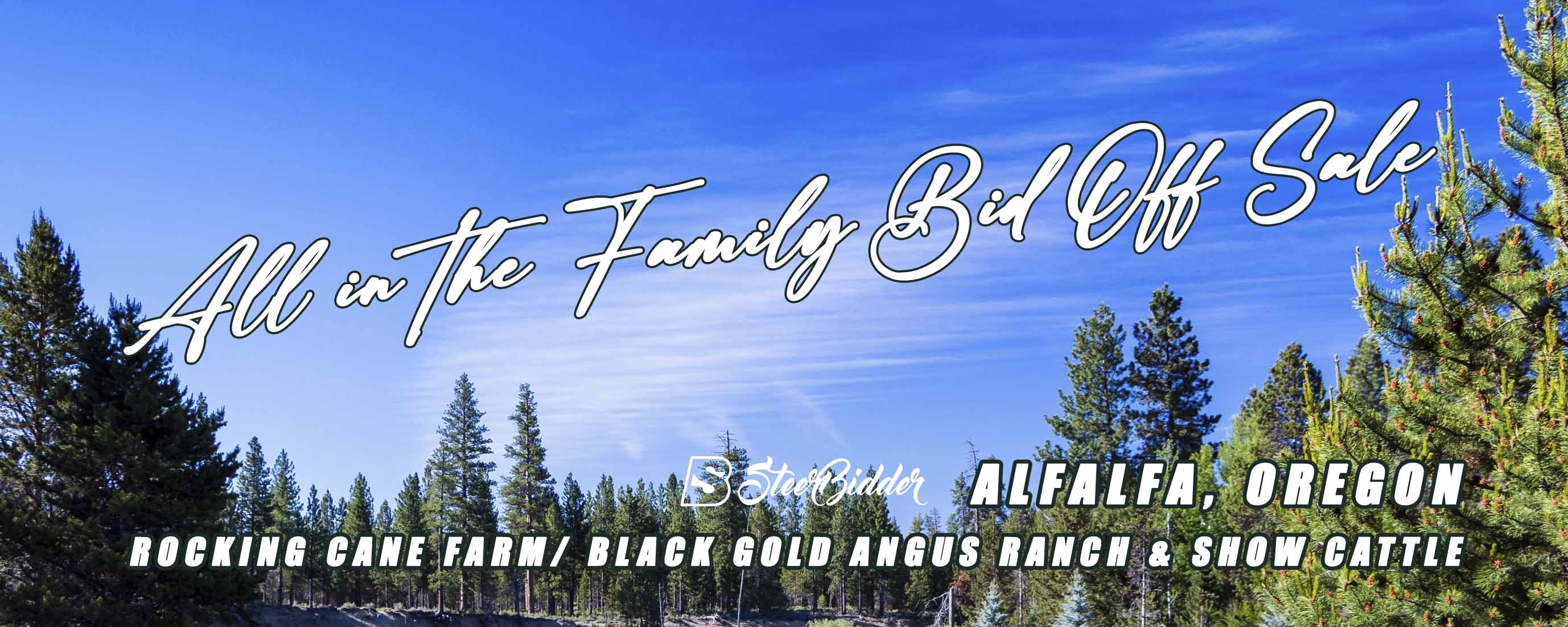 all in the family button copy | SteerBidder