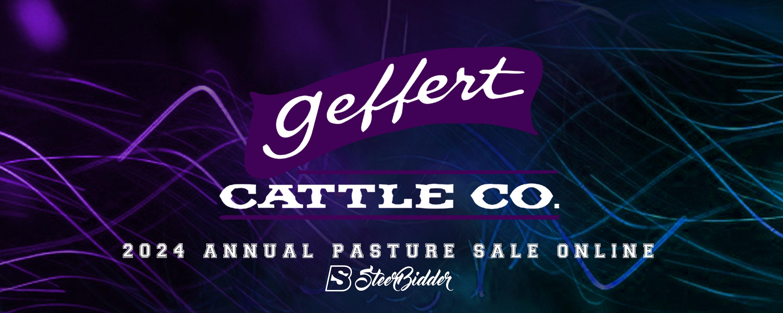 geffert 2024 button copy | SteerBidder