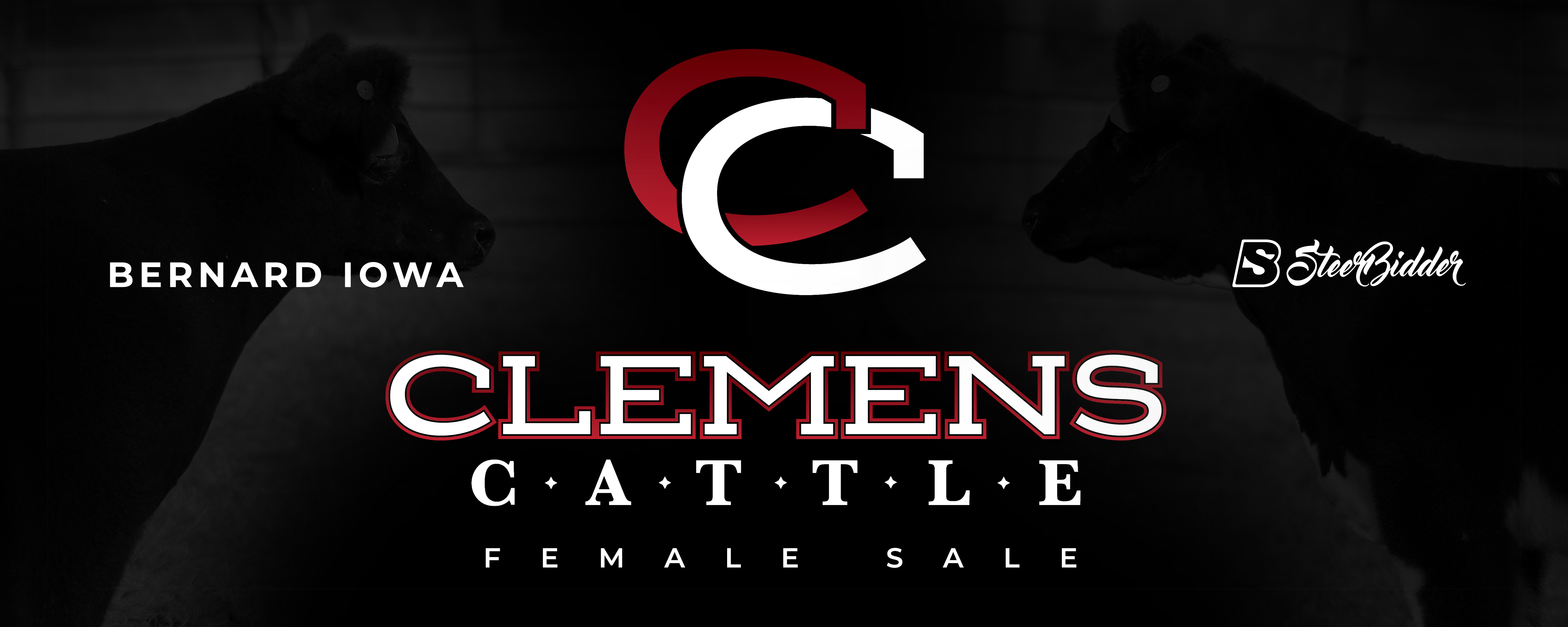 ClemensCattle FEMALE button copy | SteerBidder
