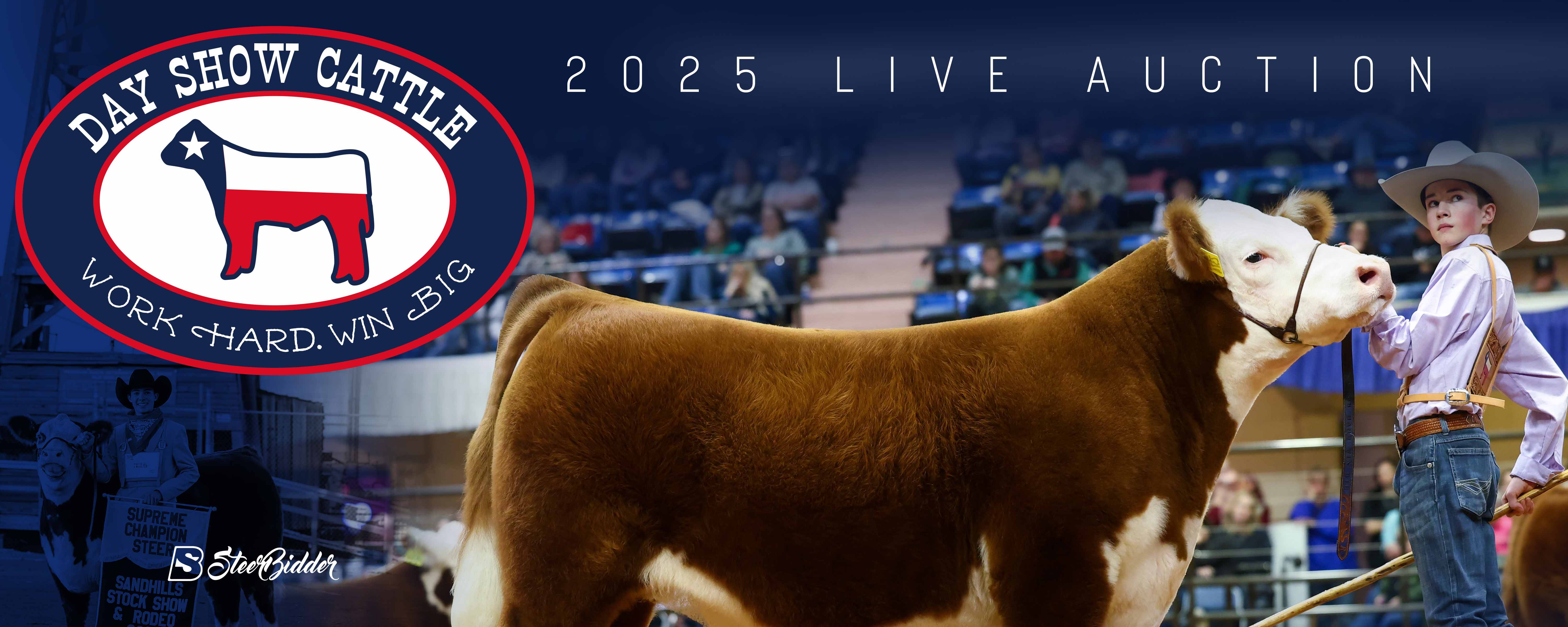 Day button 2025 | SteerBidder