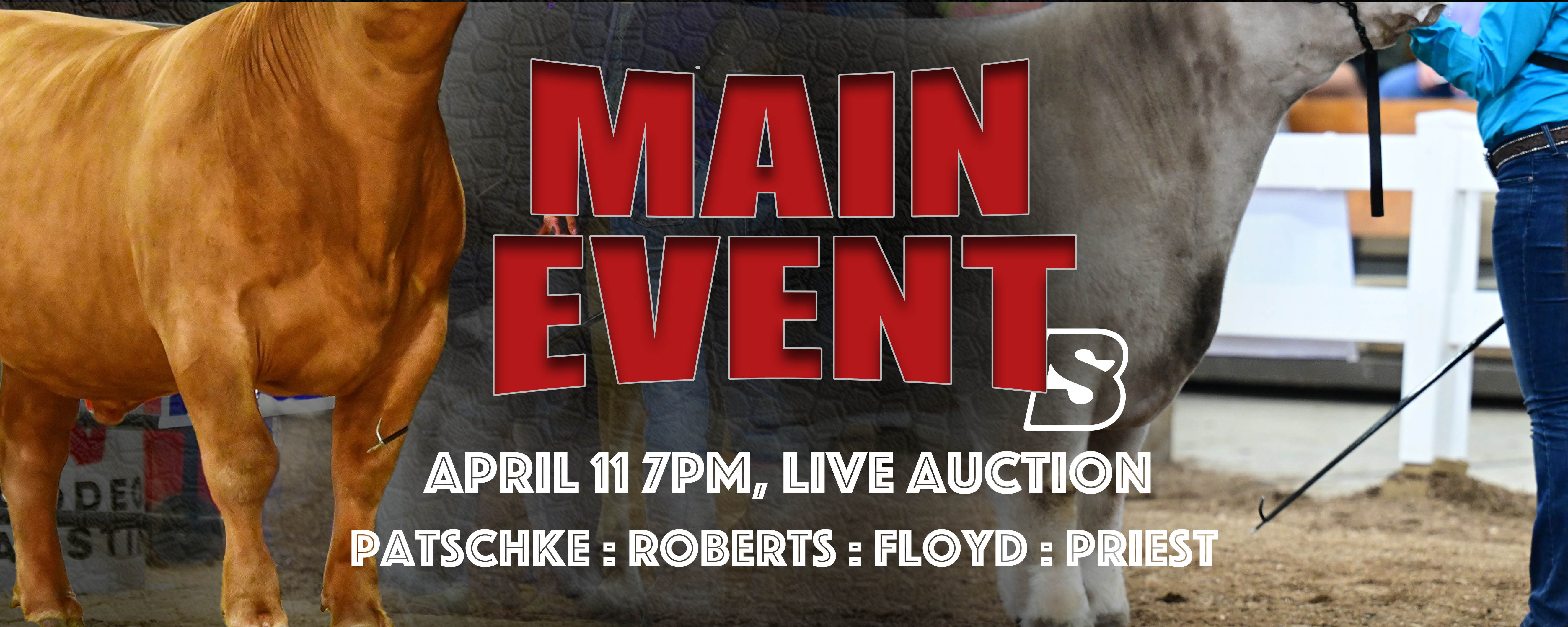 Main Event April 2025 button | SteerBidder