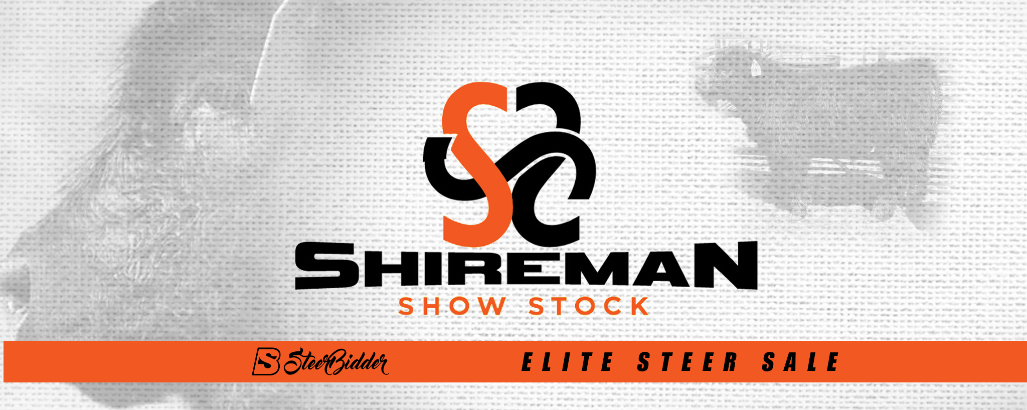 shireman button STEER copy | SteerBidder