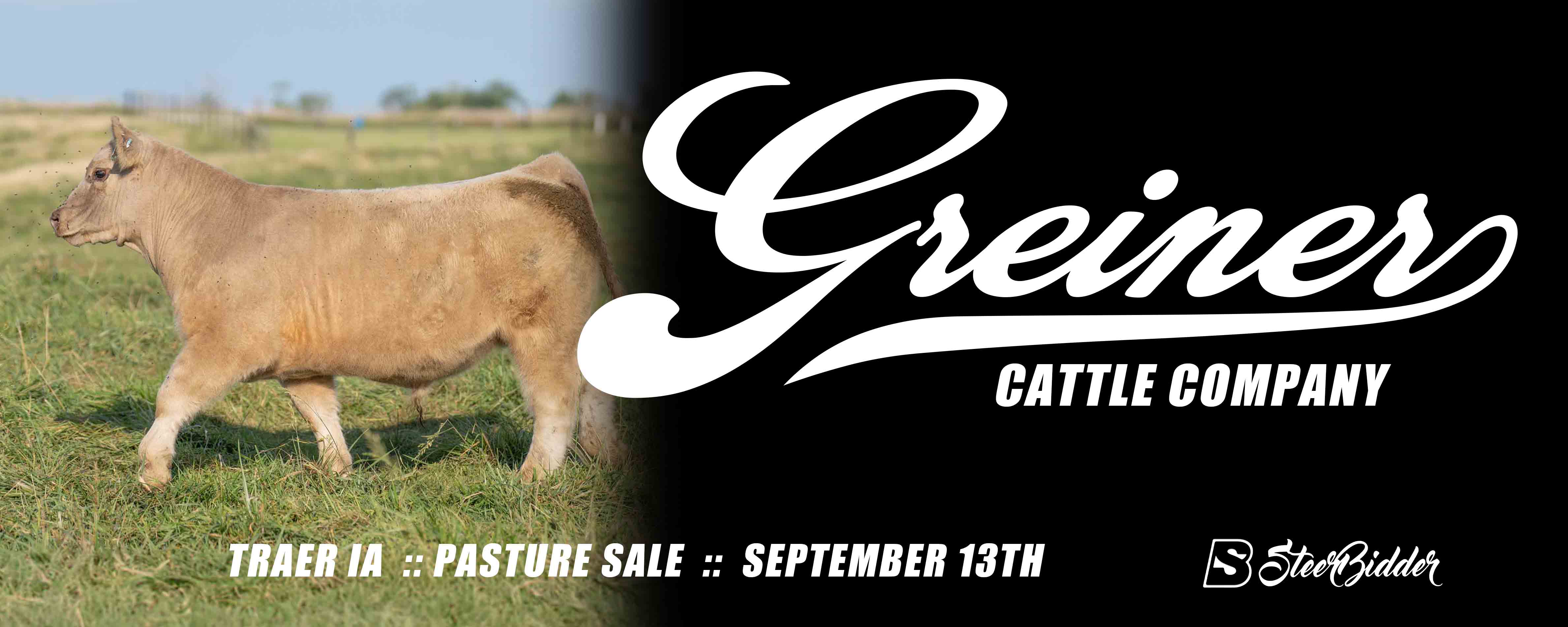 2025 GREINER BUTTON1 copy | SteerBidder